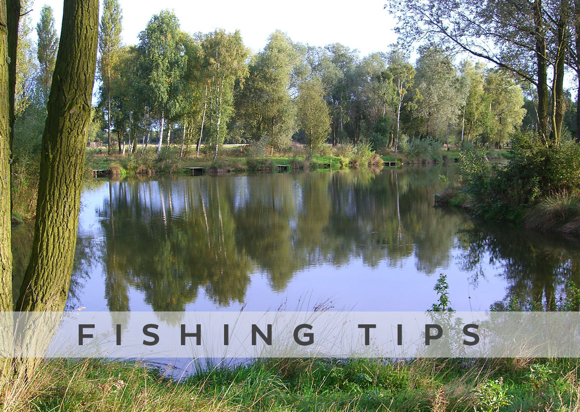 Clearwater Lakes Fishery